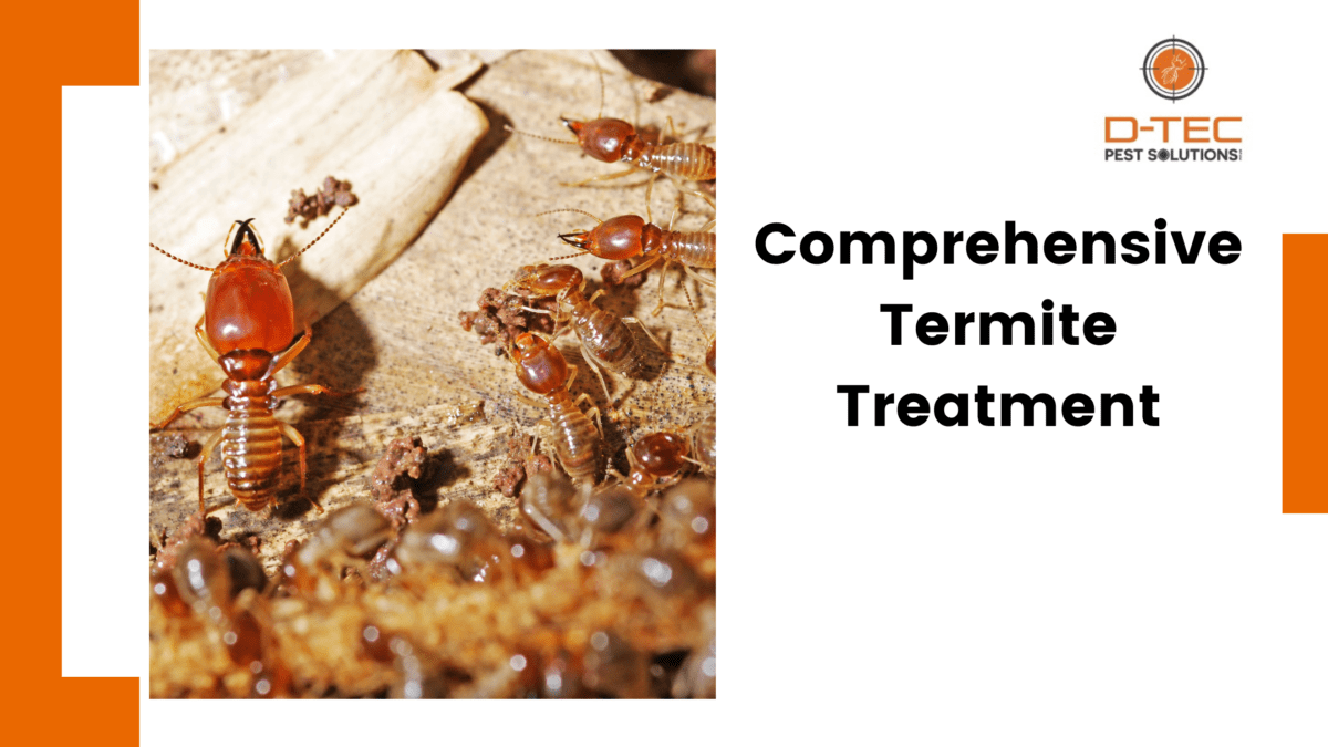 Comprehensive Termite Treatment | D-Tec Pest Solutions