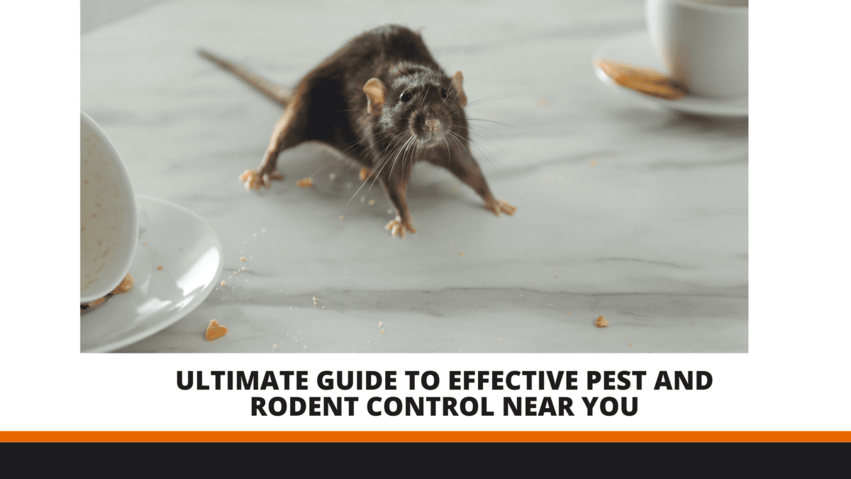 Ultimate Guide to Effective Pest and Rodent Control Near You - D-Tec ...